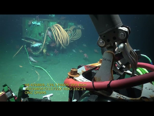 Pelagic Research Services – Exceptional Deep Sea Research Tools & Services