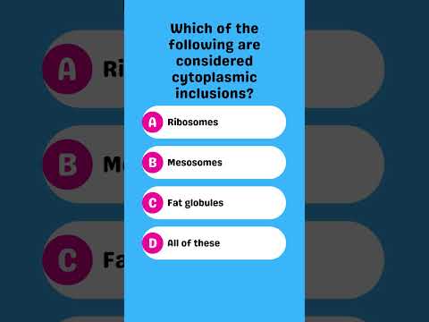 Which of the following are considered cytoplasmic inclusions?