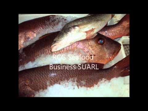 Fresh Fish Senegal | |Senegal Seafood|Senegal Fish|