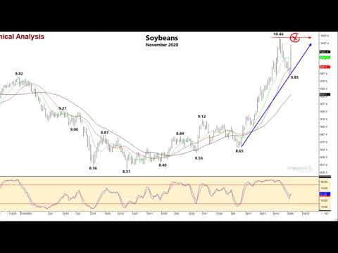 November Soybean Chart | Heartland Farm Partners