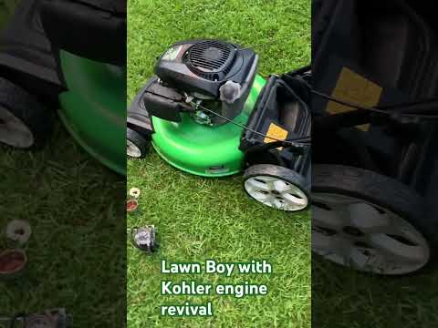 Lawn Boy with Kohler engine revival with parts swapped from other carburetor 😎