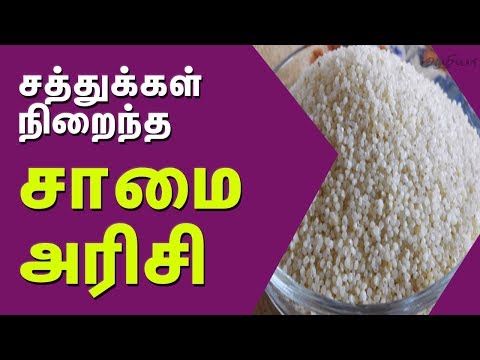 Samai Rice - Wholesale Price & Mandi Rate for Little Millet Samai Rice ...