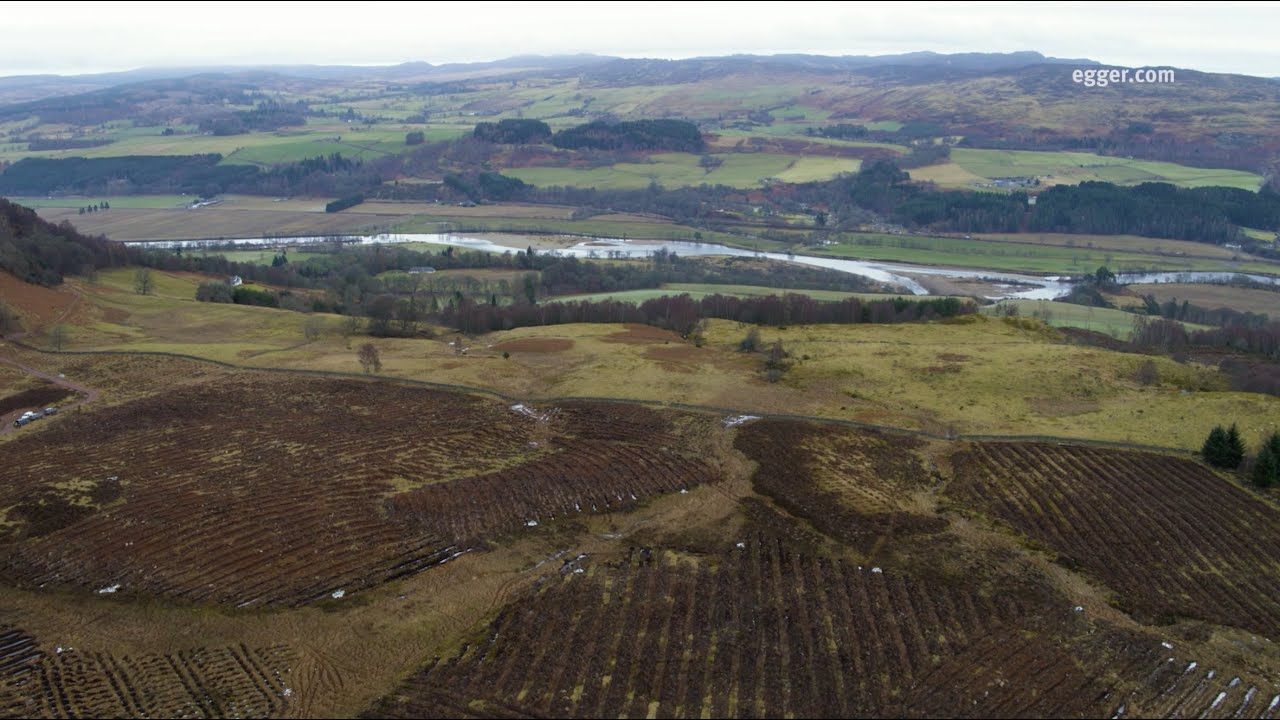 EGGER large-scale woodland creation case study – Kinnaird Estate, Perthshire