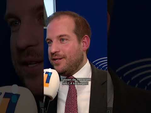 Gesjoemel met Limburgse vlaai 😮 | #L1Nieuws