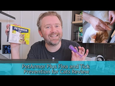 PetArmor Plus for Cats Review 🐱 | Affordable Flea & Tick Prevention Worth It?