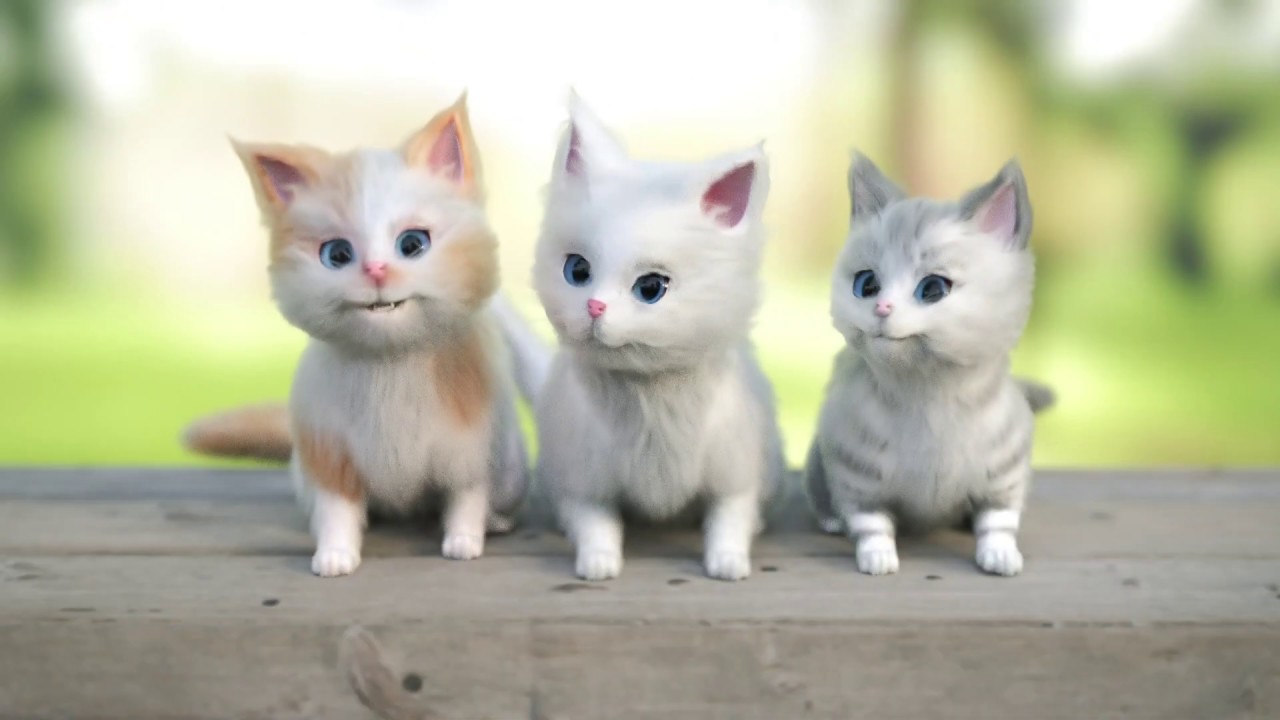 KittenSoft, How soft is KittenSoft?