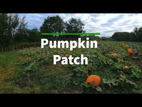 Horticulture Tour Bridgend College