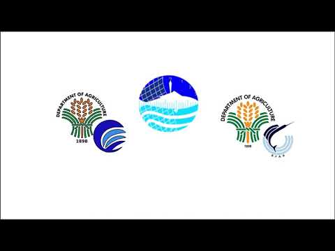 NSAP Overview