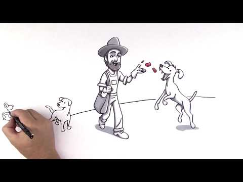 The History Of Dog Food | TruDog