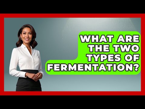 What Are The Two Types Of Fermentation? - Biology For Everyone