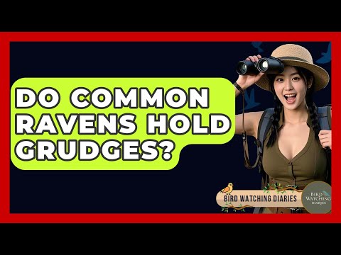 Do Common Ravens Hold Grudges? - Bird Watching Diaries