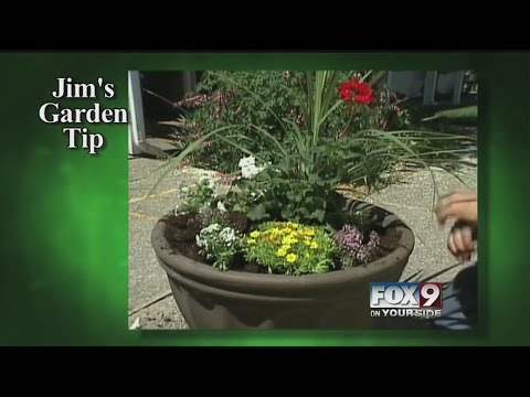 Jim's Garden Tip: How to plant large pots