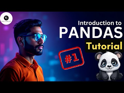 Pandas: The Python Library Every Data Scientist Needs