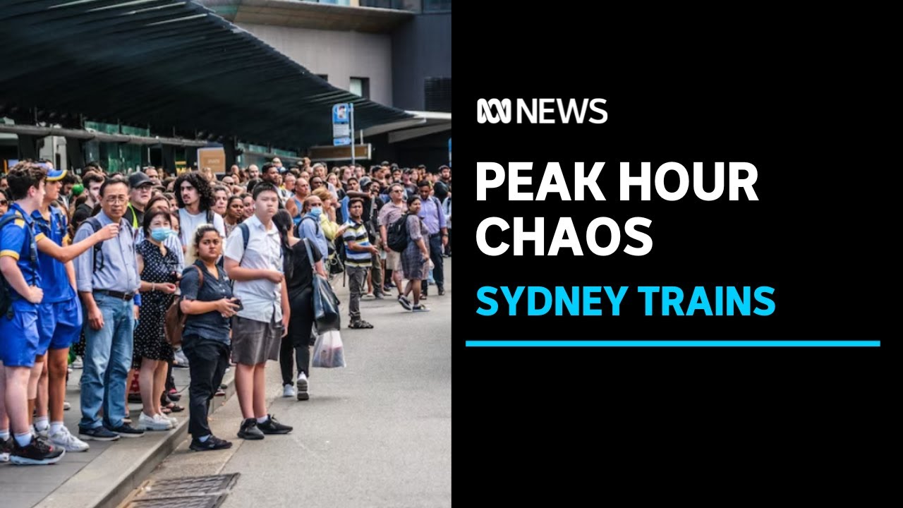 Sydney Trains meltdown brings entire network to standstill | ABC News