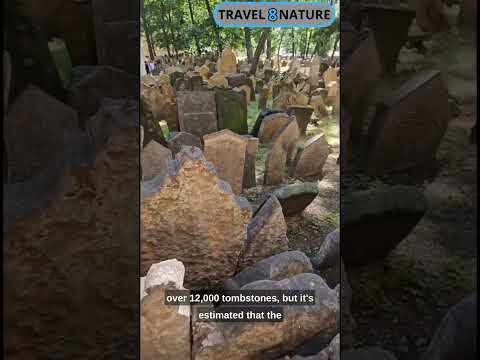 Discover Prague's Historic Jewish Cemetery: A Journey through Time #shorts #factsvideo