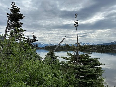A Japanese Garden in the Yukon Territory of Canada? | Good News Tree ...