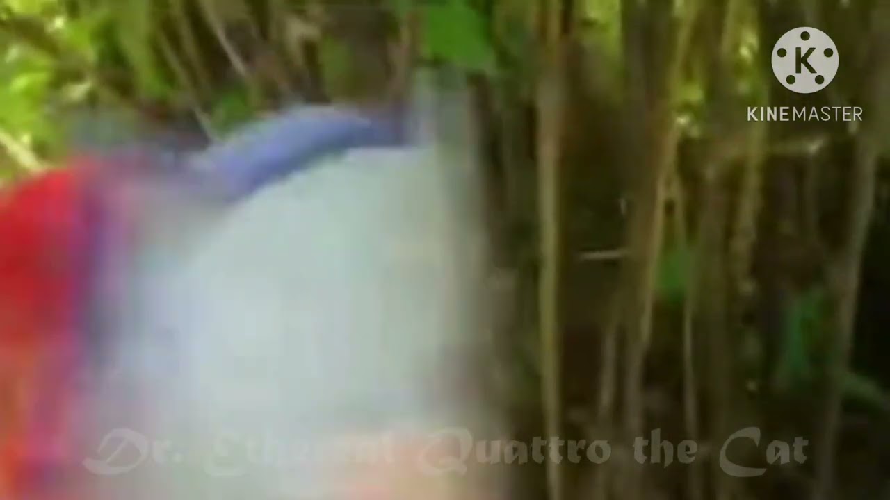 Abre puede que la película