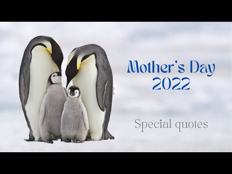 Best mothers day quotes || mothers day 2022 || mother's day wishes