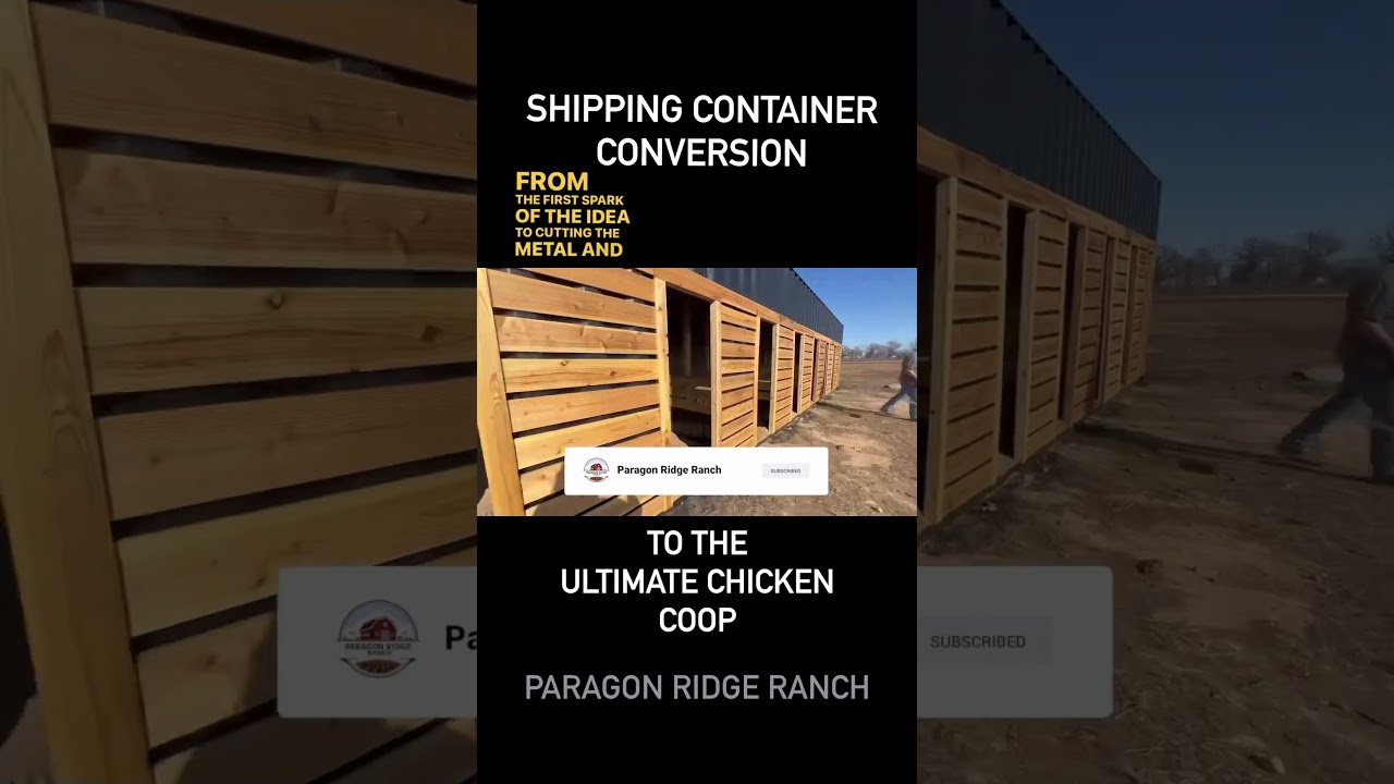 Shipping Container Conversion to The Ultimate Chicken Coop Custom Design #shorts #ShippingContainer