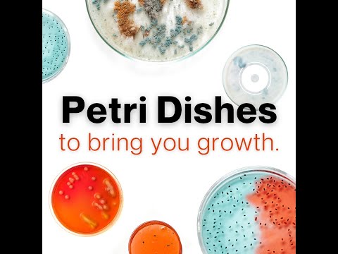 Petri Dish to bring you growth!