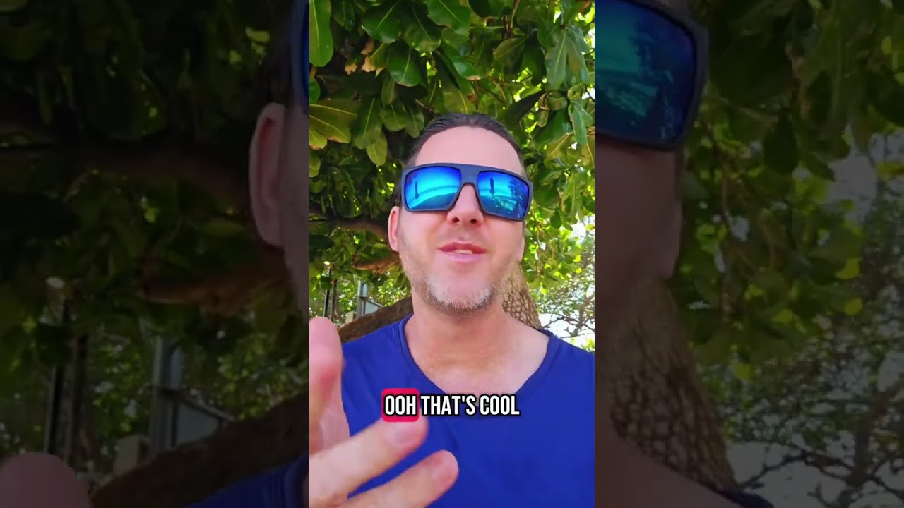 Learn Indonesian, bro