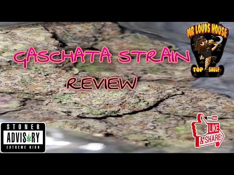 Gaschata Strain Review – A1Cannabis