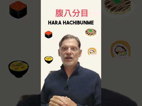 Gastronomic Harmony: Unpacking the Japanese Idiom - 腹八分目"