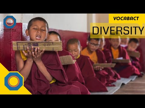 Diversity Meaning | VocabAct | NutSpace