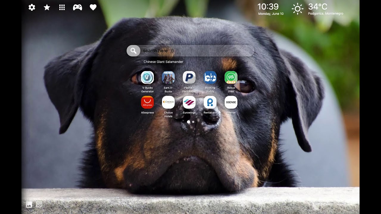 Rottweiler Wallpaper HD