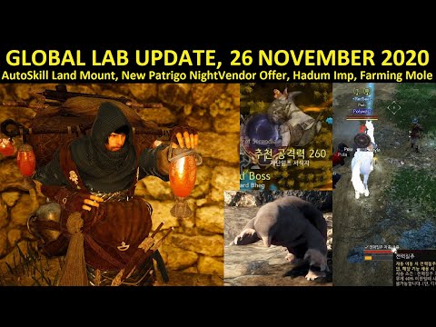 [General Gameplay] [Test Server Update 26 NOV 2020] from Chris Poli