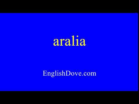 How to pronounce aralia in American English.