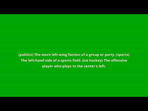what is the meaning of left wing