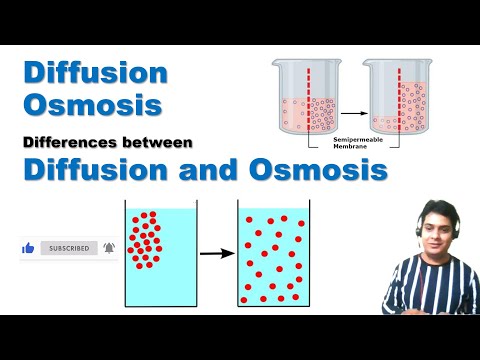 What is the difference between Diffusion and Osmosis I Diffusion I Osmosis@SRCapsule Concepts