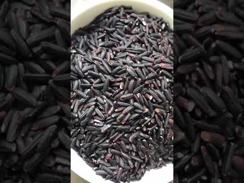 Black Rice - Wholesale Price & Mandi Rate for Forbidden Rice in India