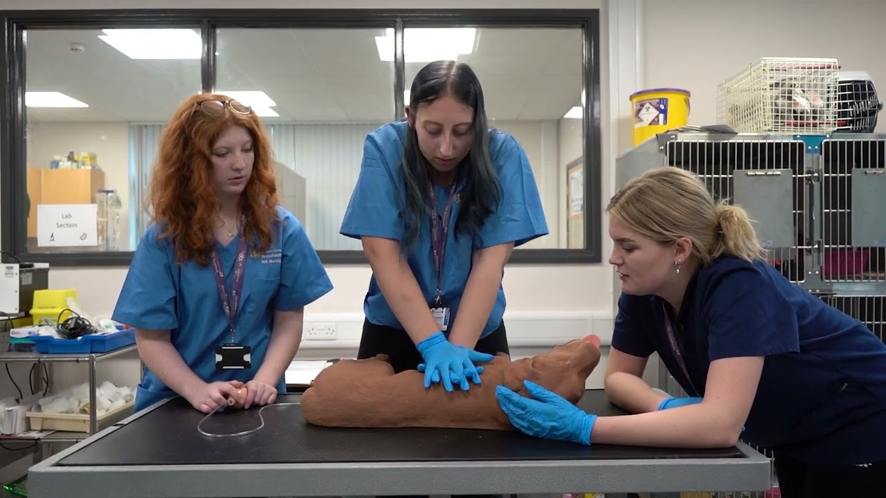 UCR Veterinary Nursing degree awarded RCVS Accreditation