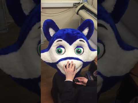 Blue Raccoon Mascot Suit | Mascot Makers - Custom mascots and characters