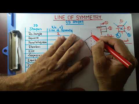 Line of symmetry (2D shapes) : used "paper-cut-out shape" to explain