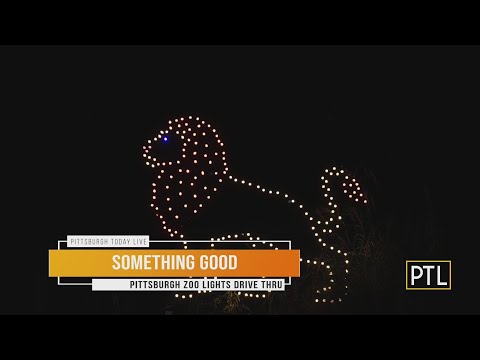 Something Good: Zoo Lights Drive-Thru