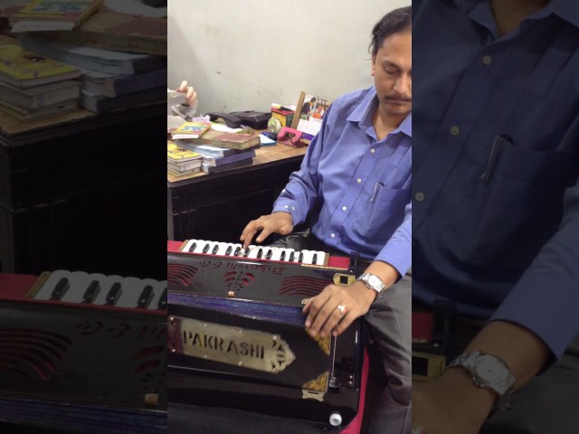 Musical Harmonium - Scale Changer Regular Harmonium Manufacturer from ...
