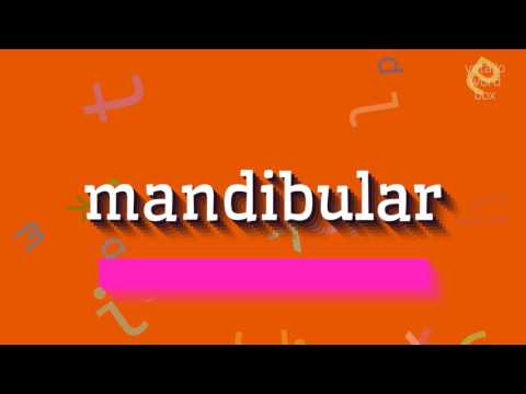How to say "mandibular"! (High Quality Voices)