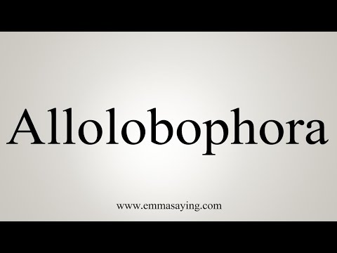 How To Say Allolobophora