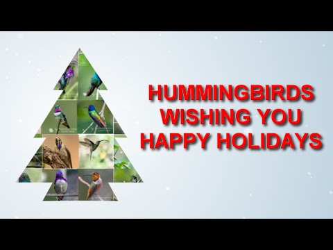 Happy Holiday Wishes for all Hummingbird Lovers