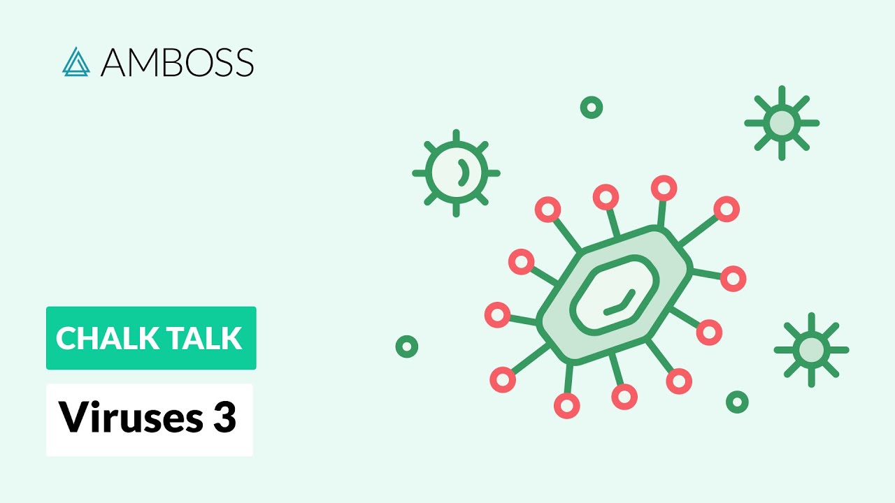 Viruses - Part 3:  Viral Replication Process