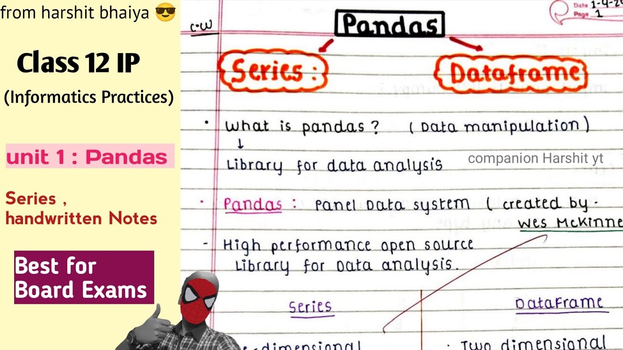 Class 12th IP Unit 1 Pandas Series Handwritten Notes ✨