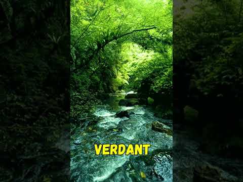 Word of the Day 105 - Verdant