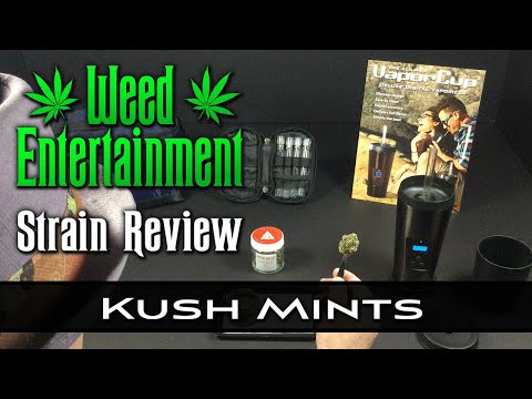 Nightmare Kush Mints Strain – A1Cannabis