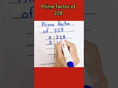 prime factor of 228 #viral #youtube #youtubeshorts #maths #shorts