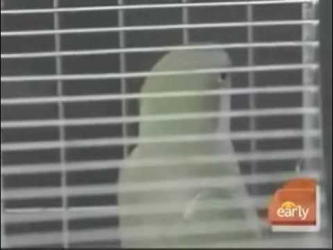 Woman In New Orleans Arrested For Trying To Sell 2 Kids For A Bird & $175.00 In Cash