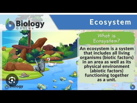Ecosystem and energy flow #NCERT class 12th #biology