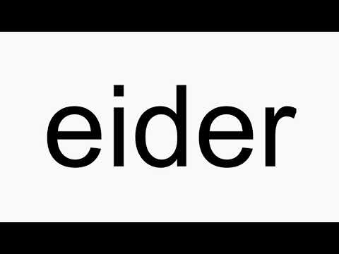 How to pronounce eider